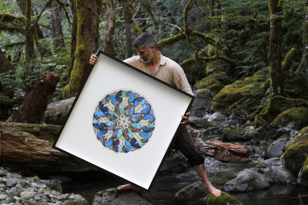 Christopher Marley, BIOPHILIA, Open Now at Houston Museum of Natural ...