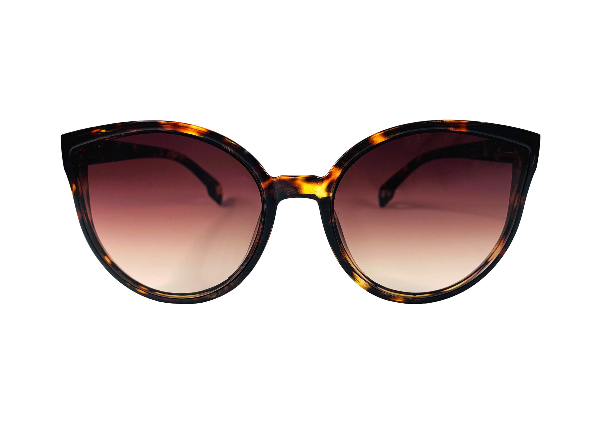 Transparent Sunglasses Founder, Margot Hogan has Attention of Celebs ...