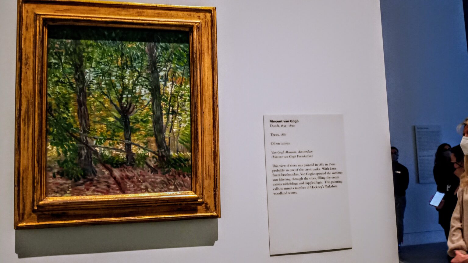 Museum of Fine Arts Houston Brings Beauty of Hockney-Van Gogh: The Joy ...