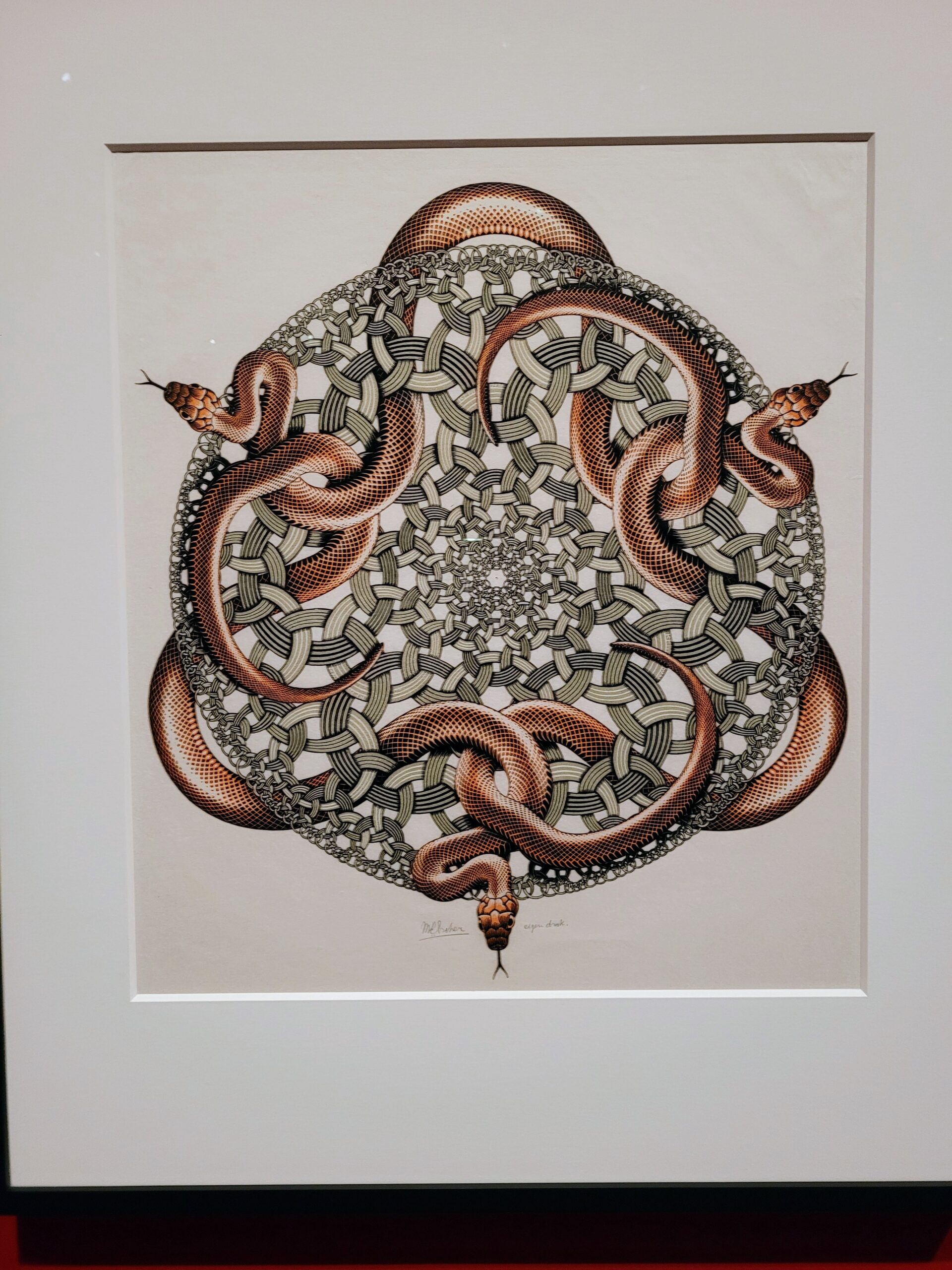 Virtual Realities: The Art of M.C. Escher from the Michael S. Sachs ...