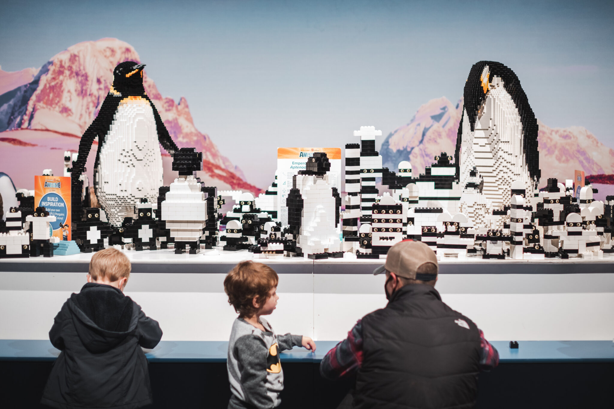Interactive Exhibition of LEGO® Models Make Their HoustonDebut – HOT IN ...