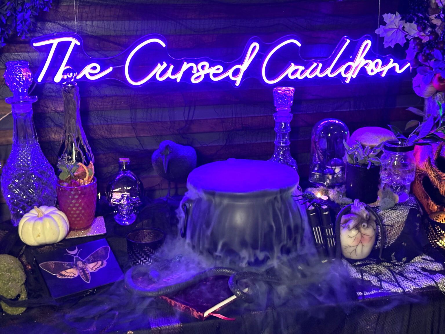 Houston’s New Witchy Wonderland ‘The Cursed Cauldron’ Pop-Up Cocktail ...