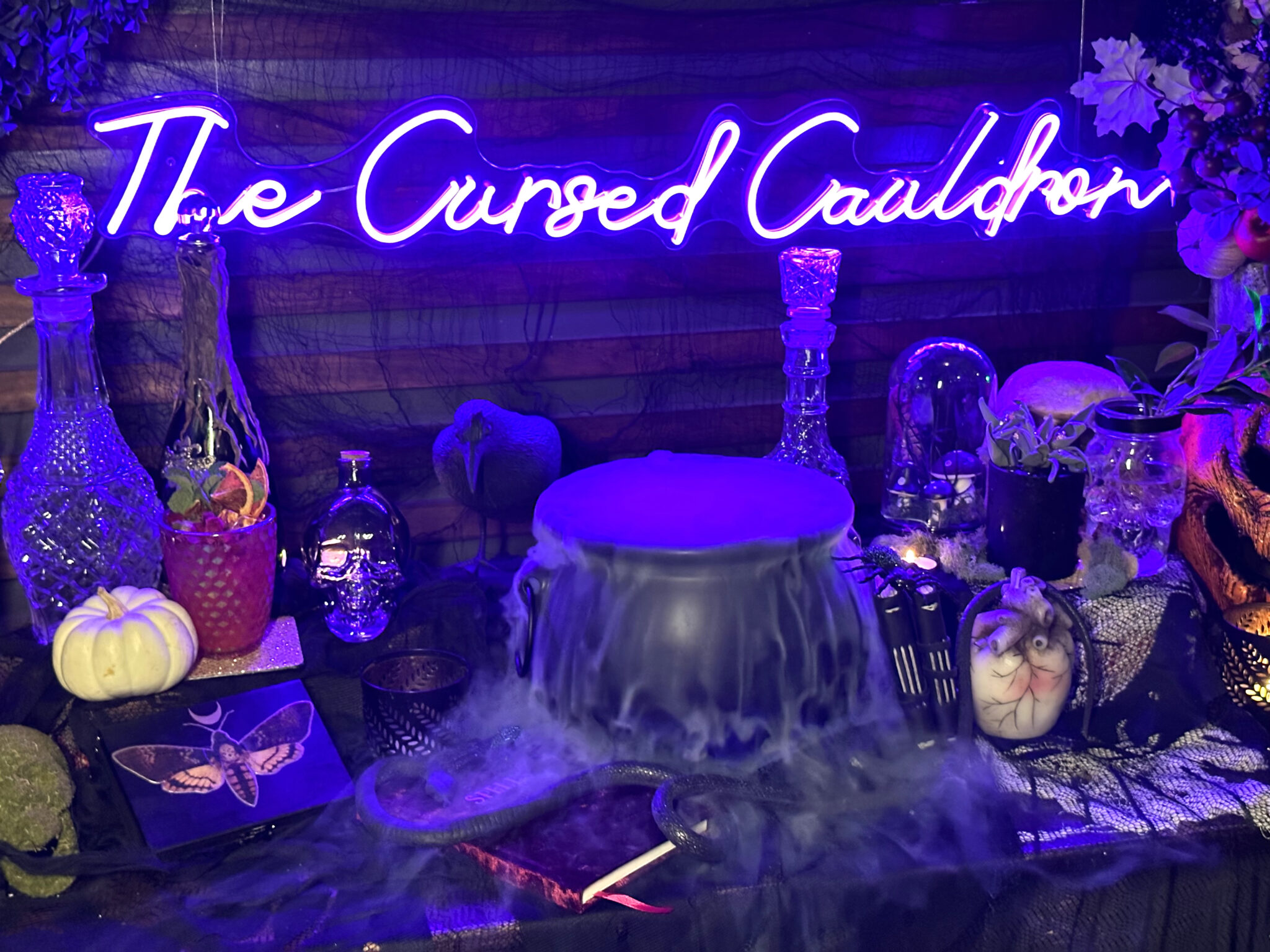 Houston’s New Witchy Wonderland ‘The Cursed Cauldron’ Pop-Up Cocktail ...