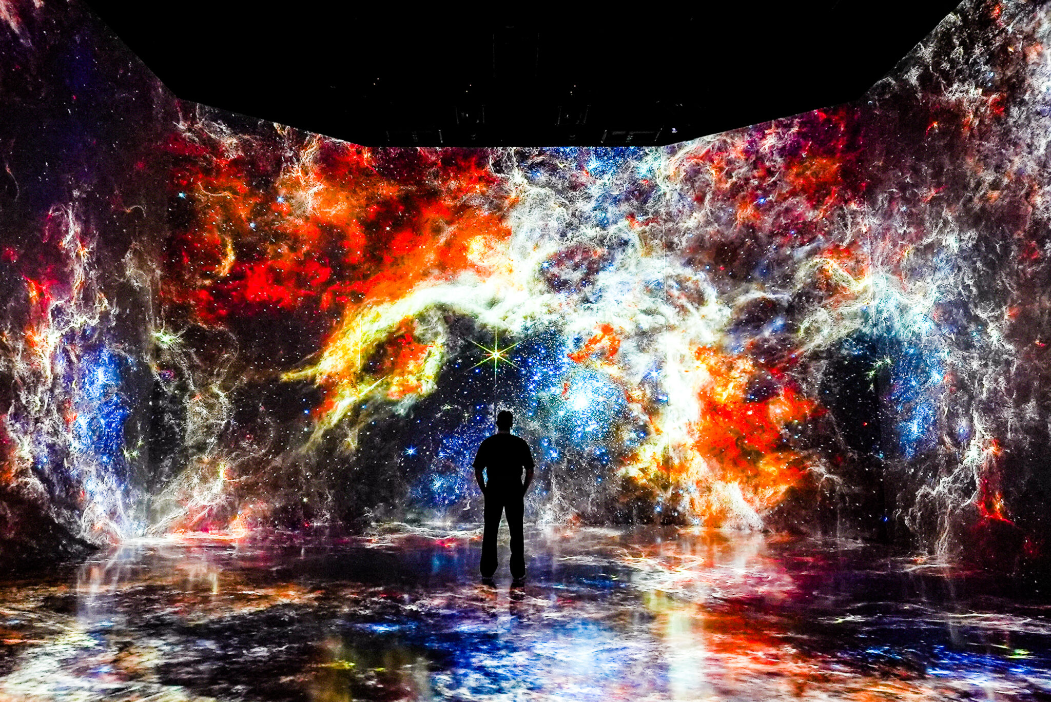 ARTECHOUSE Expands Houston’s Museum Ecosystem with Permanent Exhibition ...