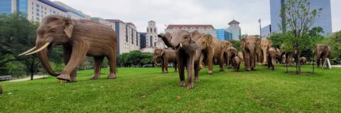 The Great Elephant Migration Arrives in Houston’s Hermann Park – HOT IN ...